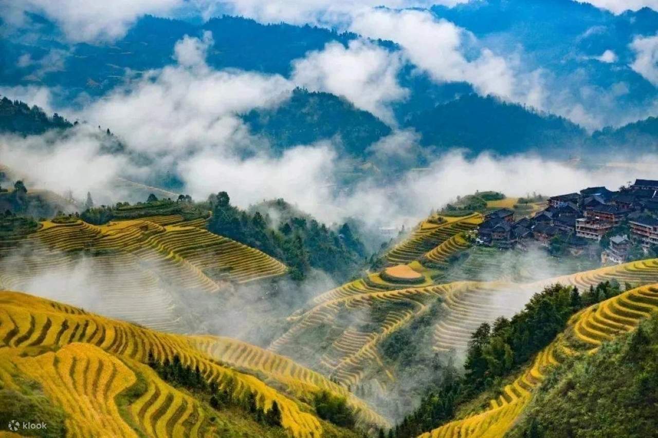 Longji Rice Terraces One Day Tour in Guangxi (Round Trip from Guilin ...
